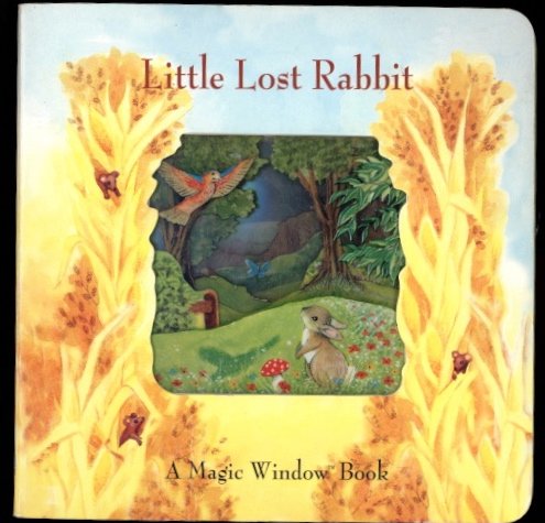 Little Lost Rabbit-A Magic Window Book (A Magic Window Book): Stewart ...
