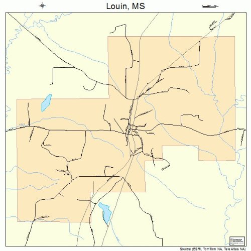 Amazon.com : Large Street & Road Map of Louin, Mississippi MS - Printed ...