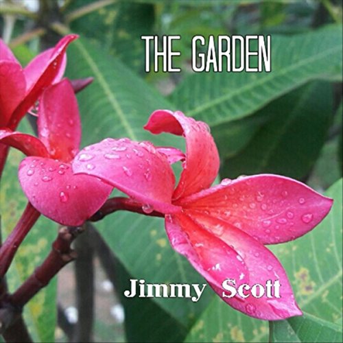 Play The Garden by Jimmy Scott on Amazon Music