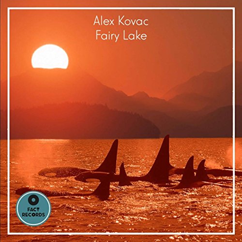 Amazon.com: Fairy Lake : Alex Kovac: Digital Music
