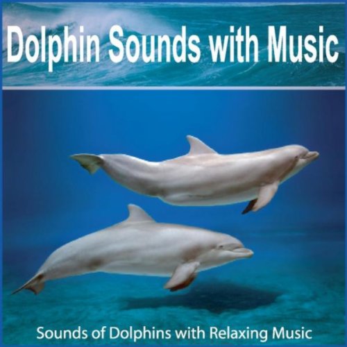 Play Dolphin Sounds With Music: Sounds of Dolphins With Relaxing Music ...