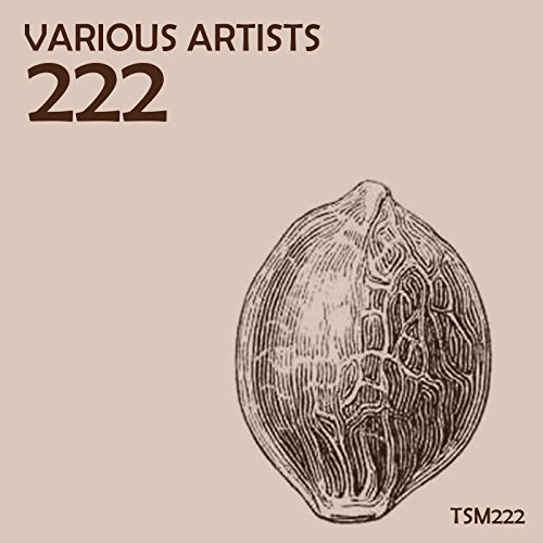 Play 222 by VARIOUS ARTISTS on Amazon Music