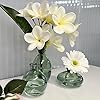 Amazon.com: Glass Vase Small Vases for Flowers - Glass Bud Vases Set of ...