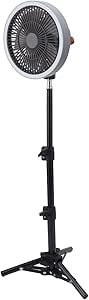 Amazon.com: Portable Pedestal Fan, 10000mAh Oscillating Standing Fan ...