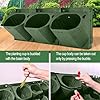 Amazon.com: Reaeng Self Watering Wall Planter with 36 Pots, Vertical ...