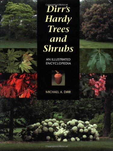 By Michael A. Dirr Dirr's Hardy Trees and Shrubs: An Illustrated ...