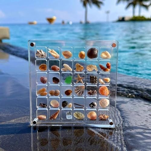 Amazon.com: Acrylic Magnetic Seashell Display Box - 36 Grids ...