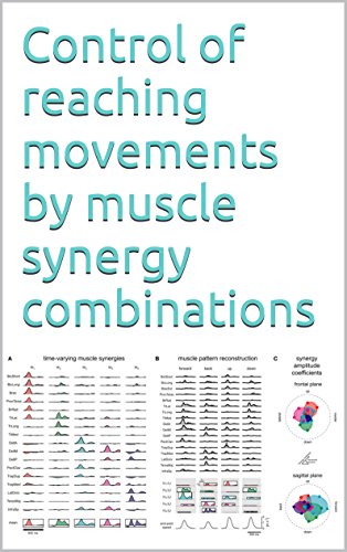Amazon.com: Control of reaching movements by muscle synergy ...