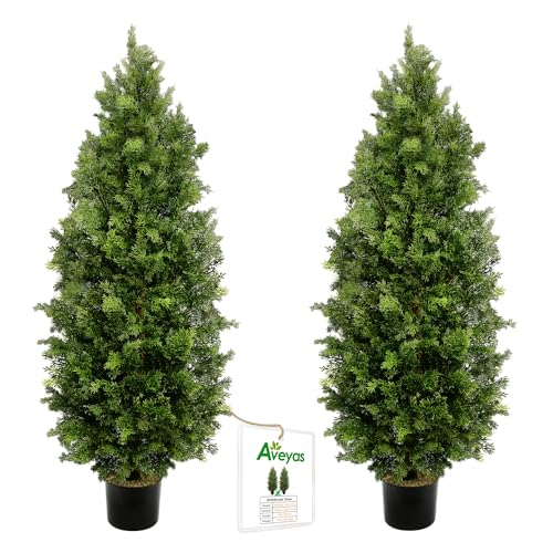 Discovering 5 Varieties Of Small Evergreen Trees In The UK - Gardenfrontier