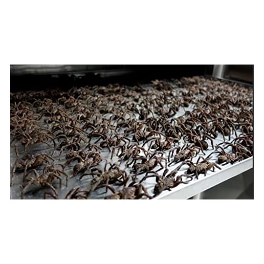 Thailand Unique Scorpions Human Edible - Insects - 1 Bag High Protein ...