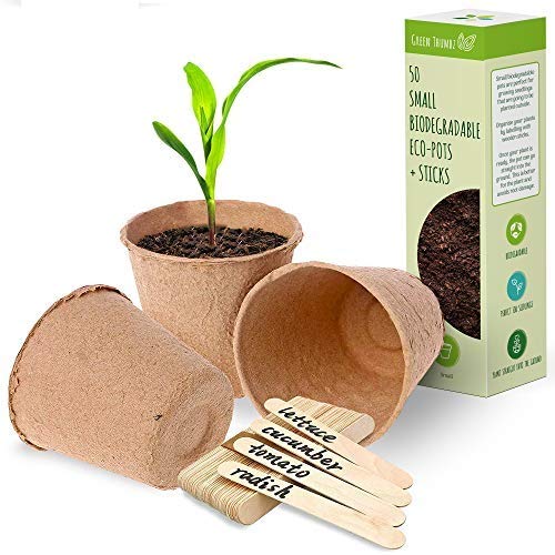 Buy Fibre Biodegradable Pots Round Seedling Plant Pots (50 Pcs x 6 cm ...