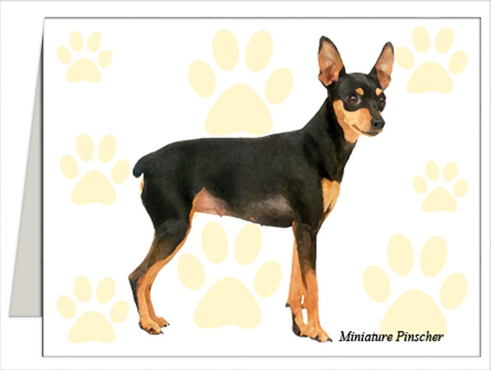Amazon.com: Miniature Pinscher Note Cards : Office Products