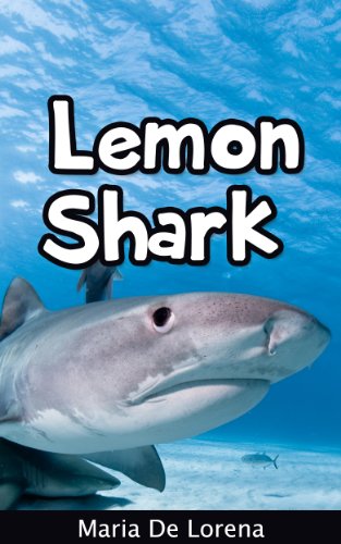 Amazon.co.jp: Lemon Shark: Children Pictures Book & Fun Facts About ...