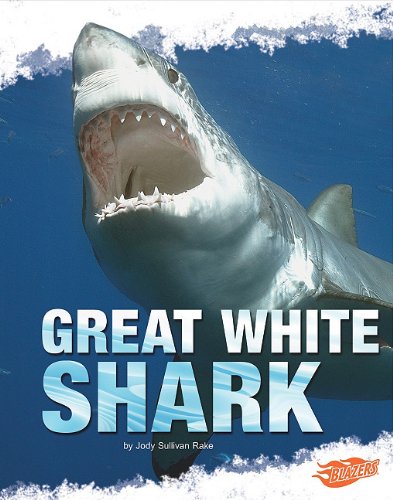 Great White Shark (Shark Zone): Jody Sullivan Rake: 9781429650137 ...