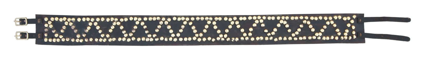 Amazon.com: Tack Belt Kit