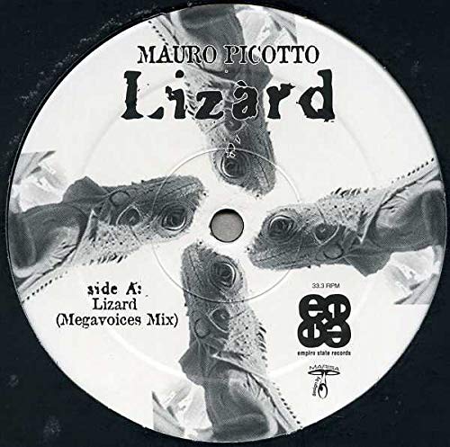 Lizard [Vinyl] - Amazon.com Music