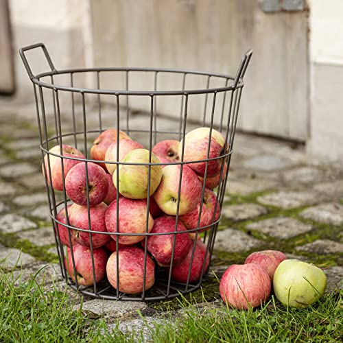 Drahtkorb Garten – Die 15 besten Produkte im Vergleich - Hausbauberater ...