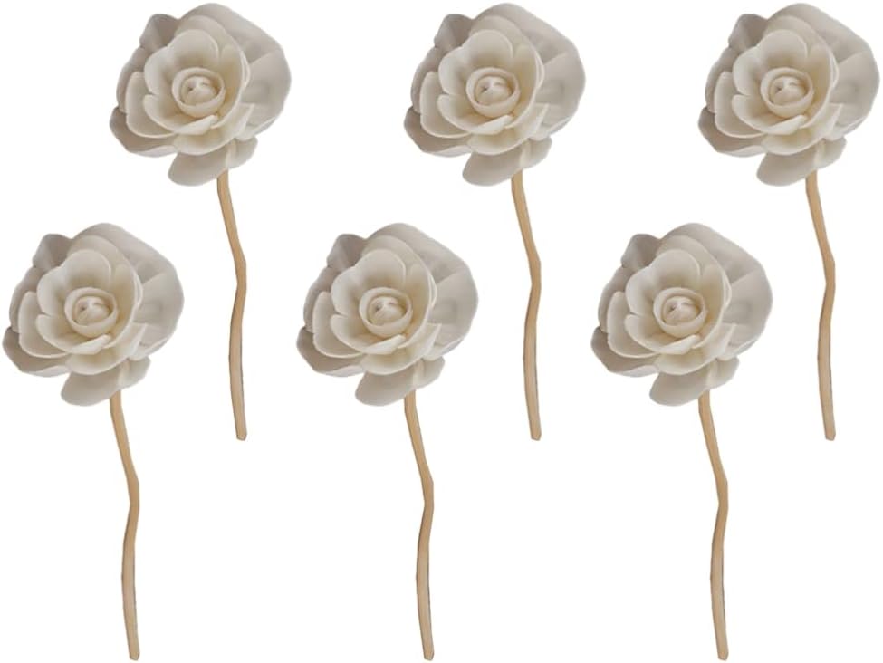 Amazon.com: 6Pcs Diffuser Sticks Rattan Flower, Rattan Reed Fragrance ...