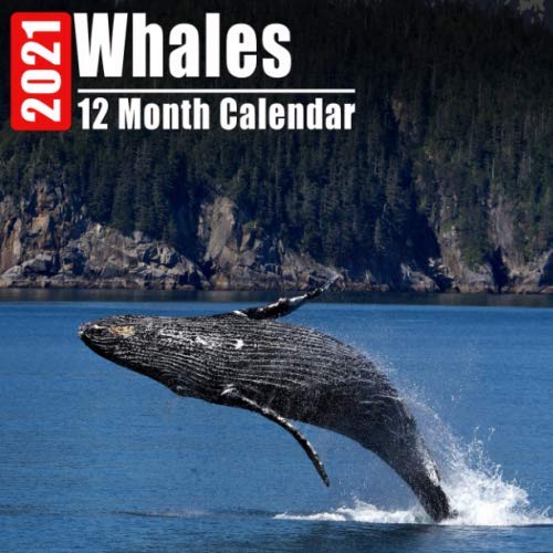 Calendar 2021 Whales: Cute Whale Photos Monthly Mini Calendar With ...
