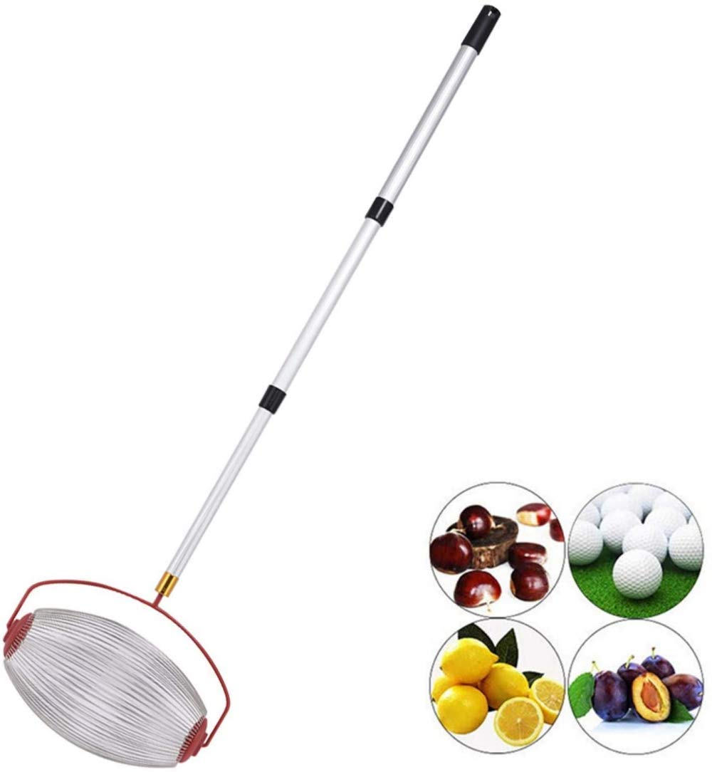 Nut Collector Rolling Collector Fruit Picker Fallen When Is Walnut