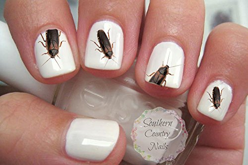 Amazon.com: Water Bug Roach Nail Art Decals : Beauty & Personal Care