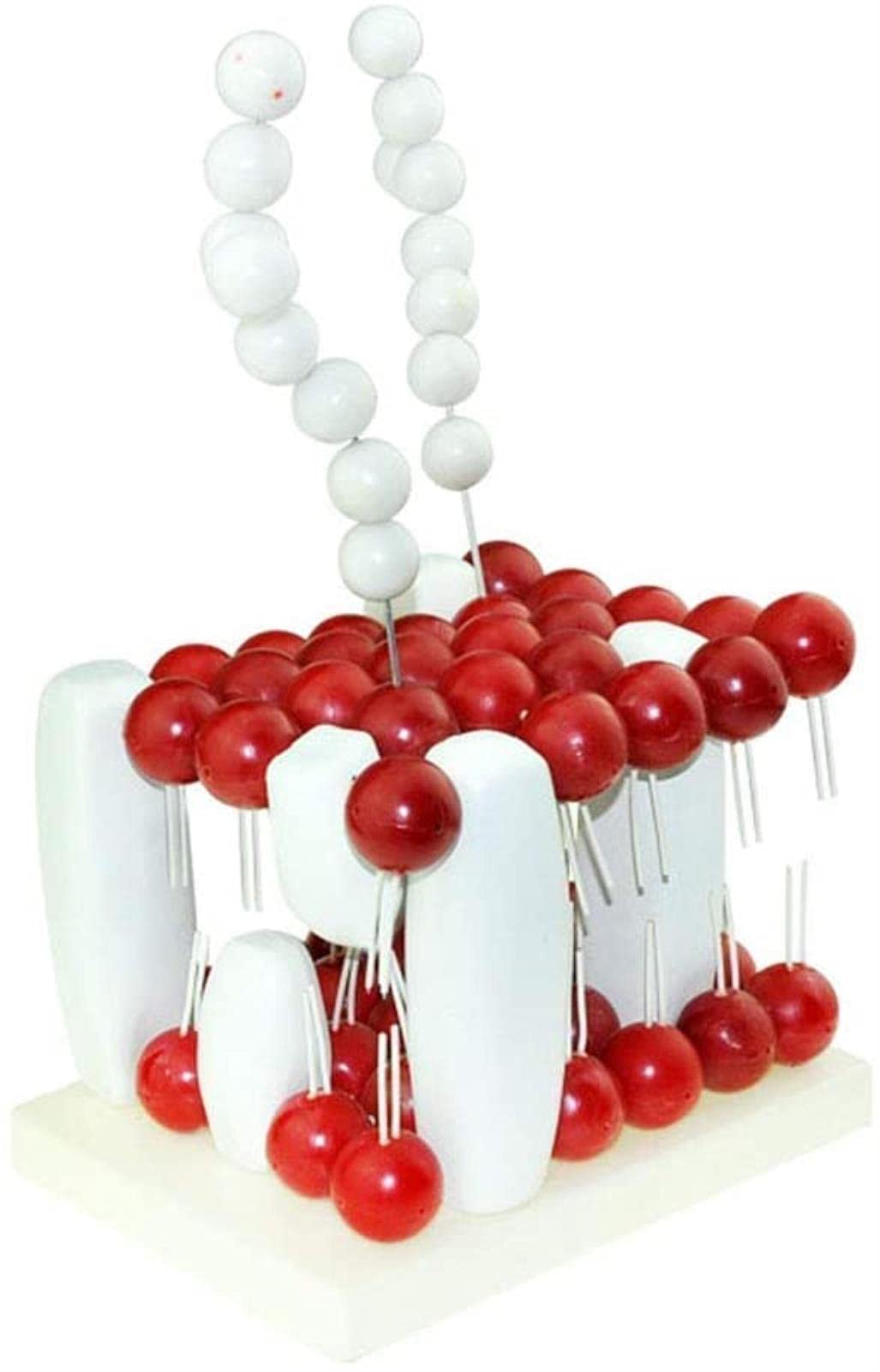 Buy Educational Model Model of Cell Membrane Biofilm Structure Model ...