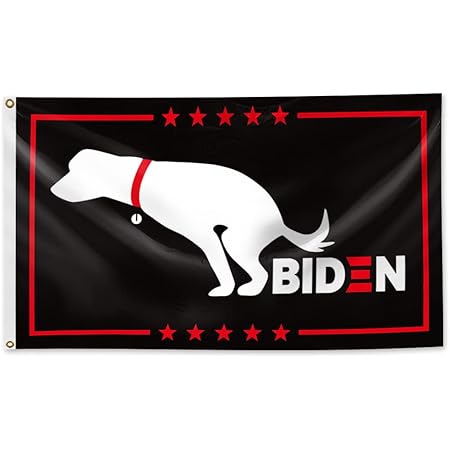Amazon.com : Aliurye-BIDEN Flag 3X5 FT，2 Sturdy Brass Buckles100 ...
