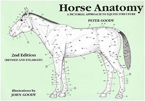 Horse Anatomy: A Pictorial Approach to Equine Structure by Peter Goody ...