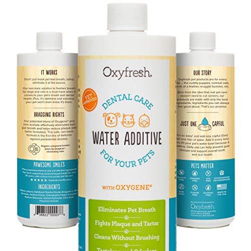 Best Dental Water Additive for Dogs (Our Top 7 Picks) 2021