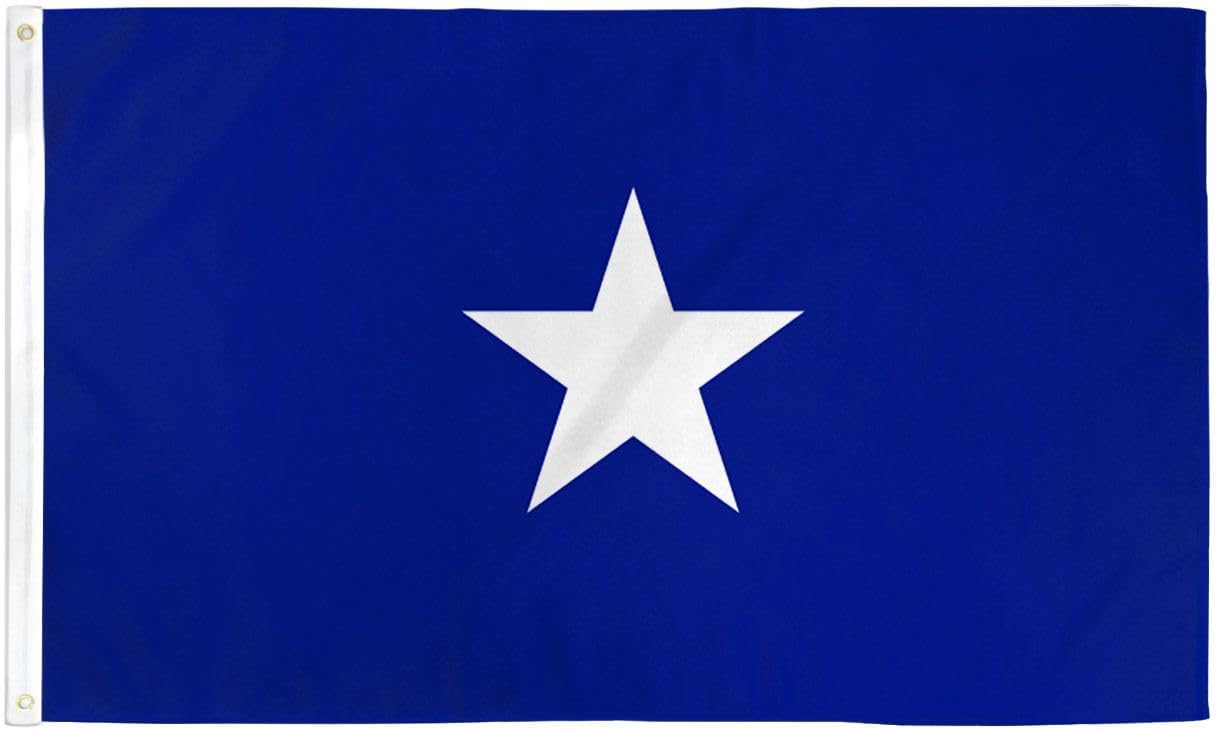 Amazon.com : Durable Bonnie Blue Flag 3x5FT Southern States White Star ...