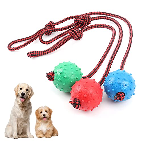 Ball mit Schnur Hund – Die 15 besten Produkte im Vergleich ...