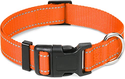 Orange Dog Collar – The 15 best products compared - Wild Explained