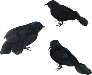 Amazon.com: Generic Realistic Crows Lifesize Extra Large Handmade Black ...
