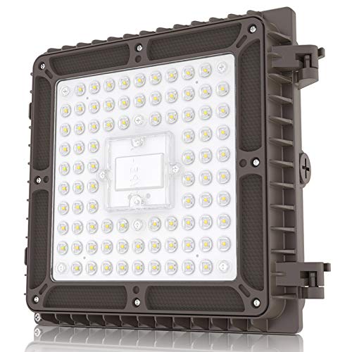 Snapklik.com : LED Canopy Light 45W,LED Canopy Lights 5840LM 4000K Warm ...