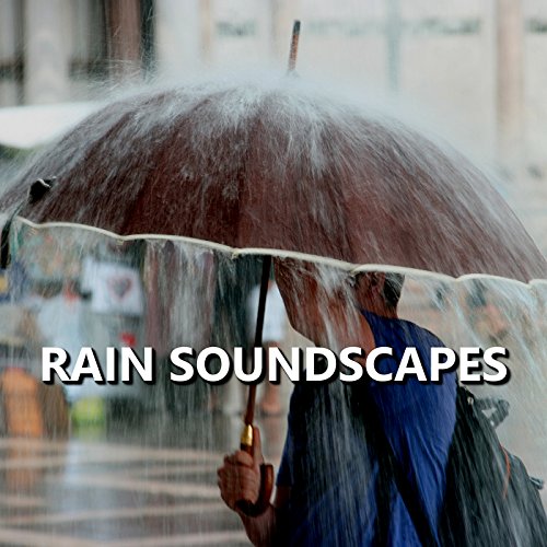 Amazon.com: Rain Soundscapes : Rain Soundscapes: Digital Music
