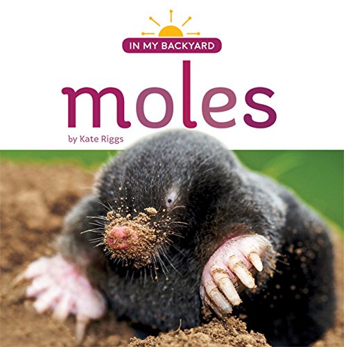 Moles (In My Backyard): Riggs, Kate: 9781628322965: Amazon.com: Books