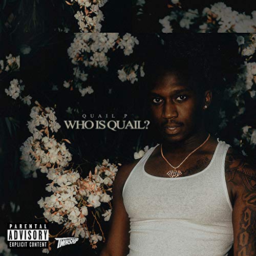 What You Got [Explicit] song by Quail P from Who Is Quail? [Explicit ...