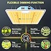 Amazon.com: Phlizon PL1000 Plant LED Grow Light with UV IR LM281B LEDs ...