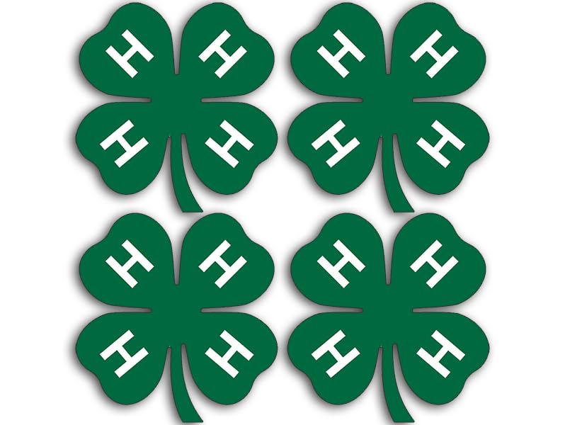 Four Leaf Clover Logo