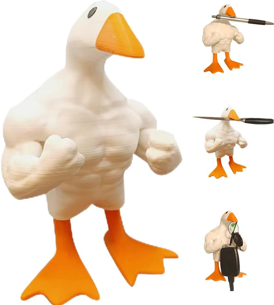 Amazon.com: Magnetic Goose Duck Key Holder, Unique Key Holder, Standing ...