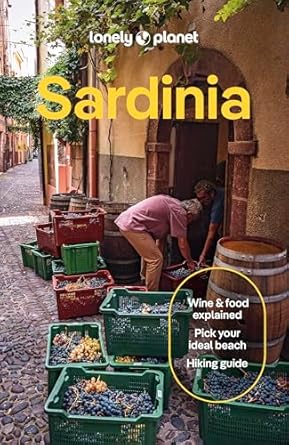 Lonely Planet Sardinia (Travel Guide): Hardy, Paula: 9781838694166 ...