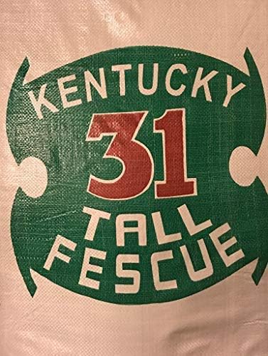 Amazon.com : Kentucky 31 Fescue 1 LB Fully Tested, Fast Germination by ...