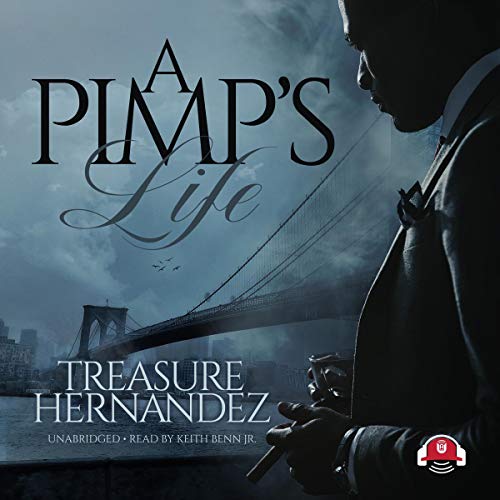 Amazon.com: A Pimp's Life (Audible Audio Edition): Treasure Hernandez ...
