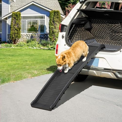 Your Comprehensive Guide to Choosing the Best Dog Ramps in the UK ...