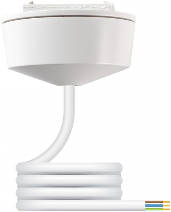 Ashley Klik CR64AX/2.0 Pre-Wired 6 Amp Plug-In Ceiling Rose. : Amazon ...