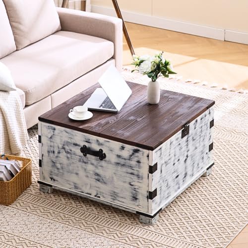 32 Trunk Coffee Table Ideas That Hold Clutter at Bay