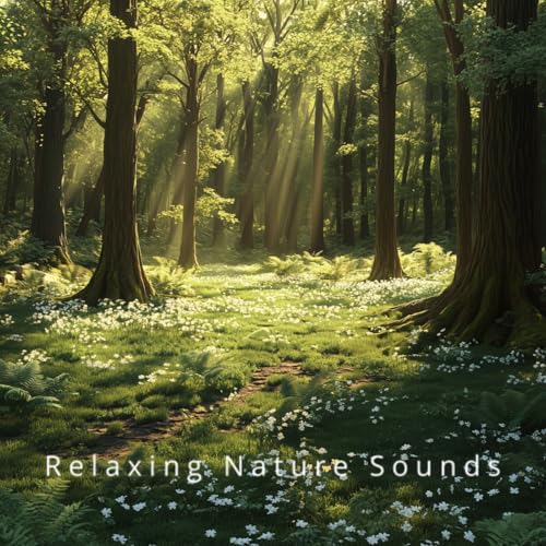 Play Nature's Embrace: Relaxation Through Sound by Relaxing Nature ...