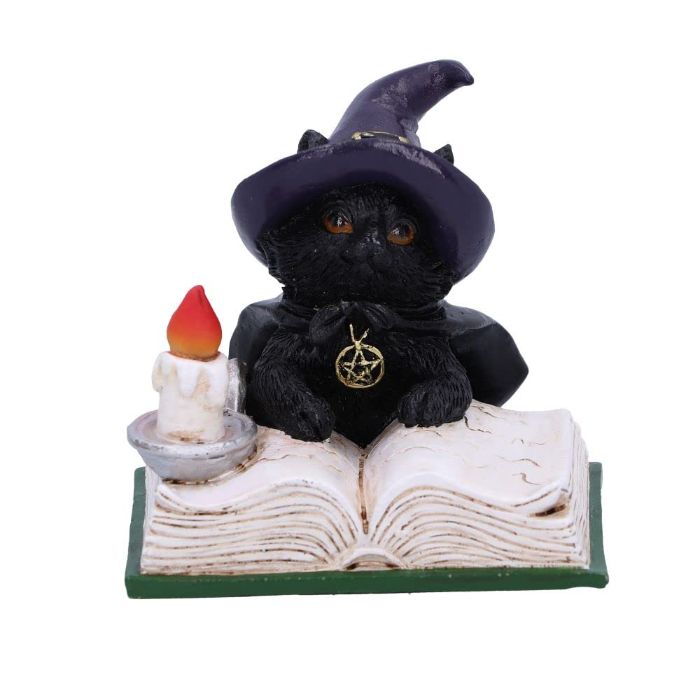 Amazon.com: Nemesis Now Familiar's Spell Cat Figurine, Black, 8.5cm ...