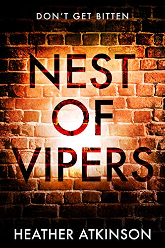 Nest of Vipers: Don't get bitten (Unfinished Business Book 8) - Kindle ...