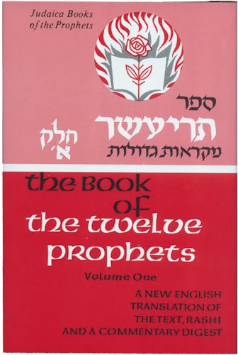 Book of Twelve Prophets, Vol. One (Judaica Books of the Prophets): A. J ...